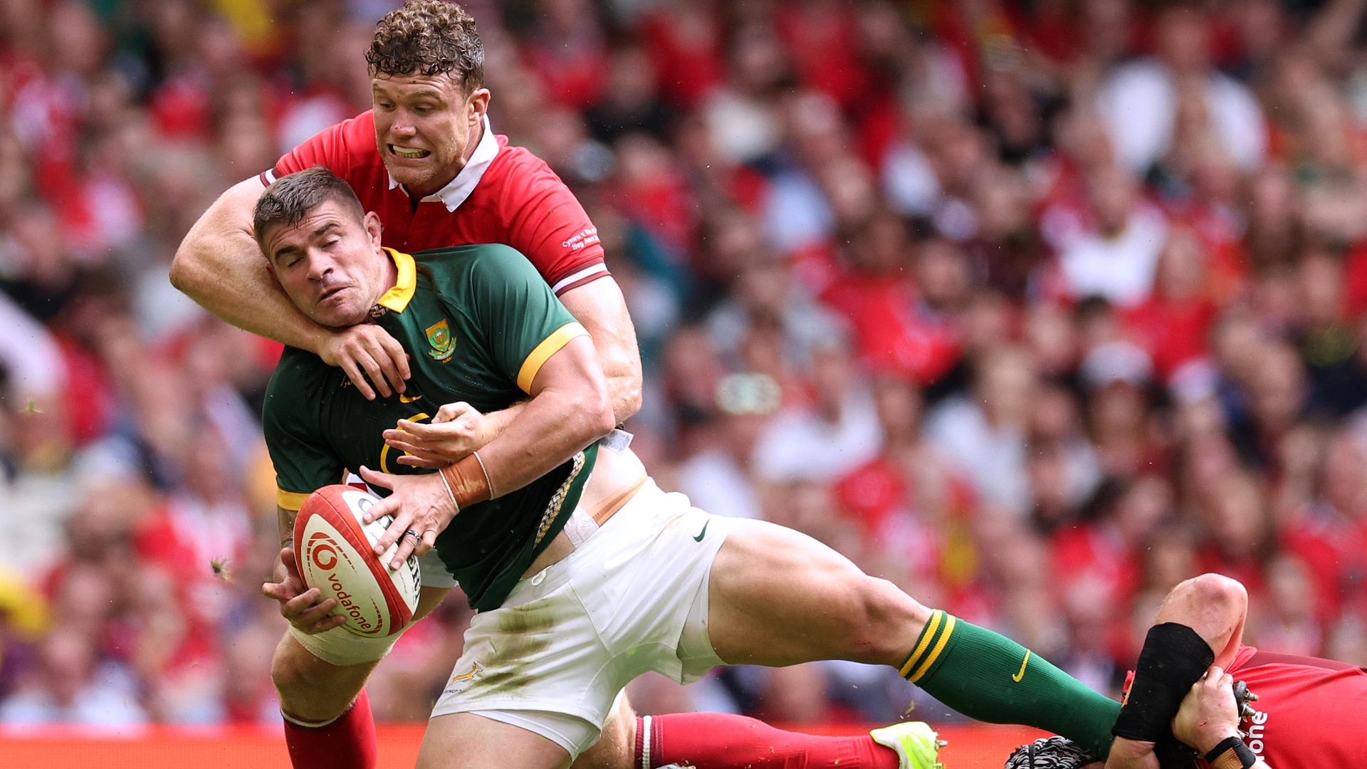 South Africa vs Wales Rugby Union Head-to-Head & Stats - Springboks ...