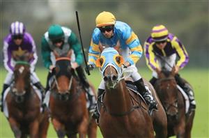 Australian Horse Racing Tips and Selections on every major race