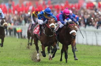 Durban July 2024 Tips, Selections and Betting Previews - Get Free Bets ...