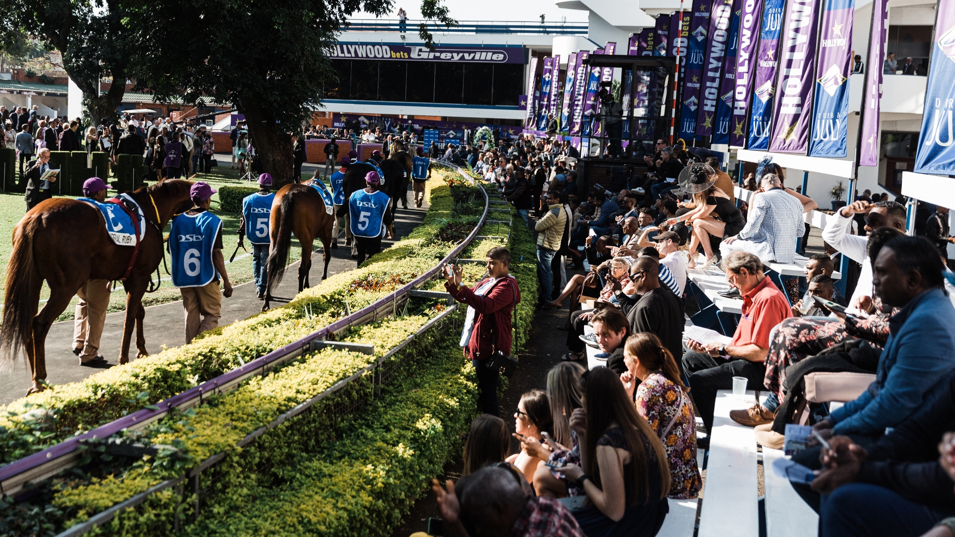 Durban July 2024 Live Stream | Watch this famous race live from Greyville