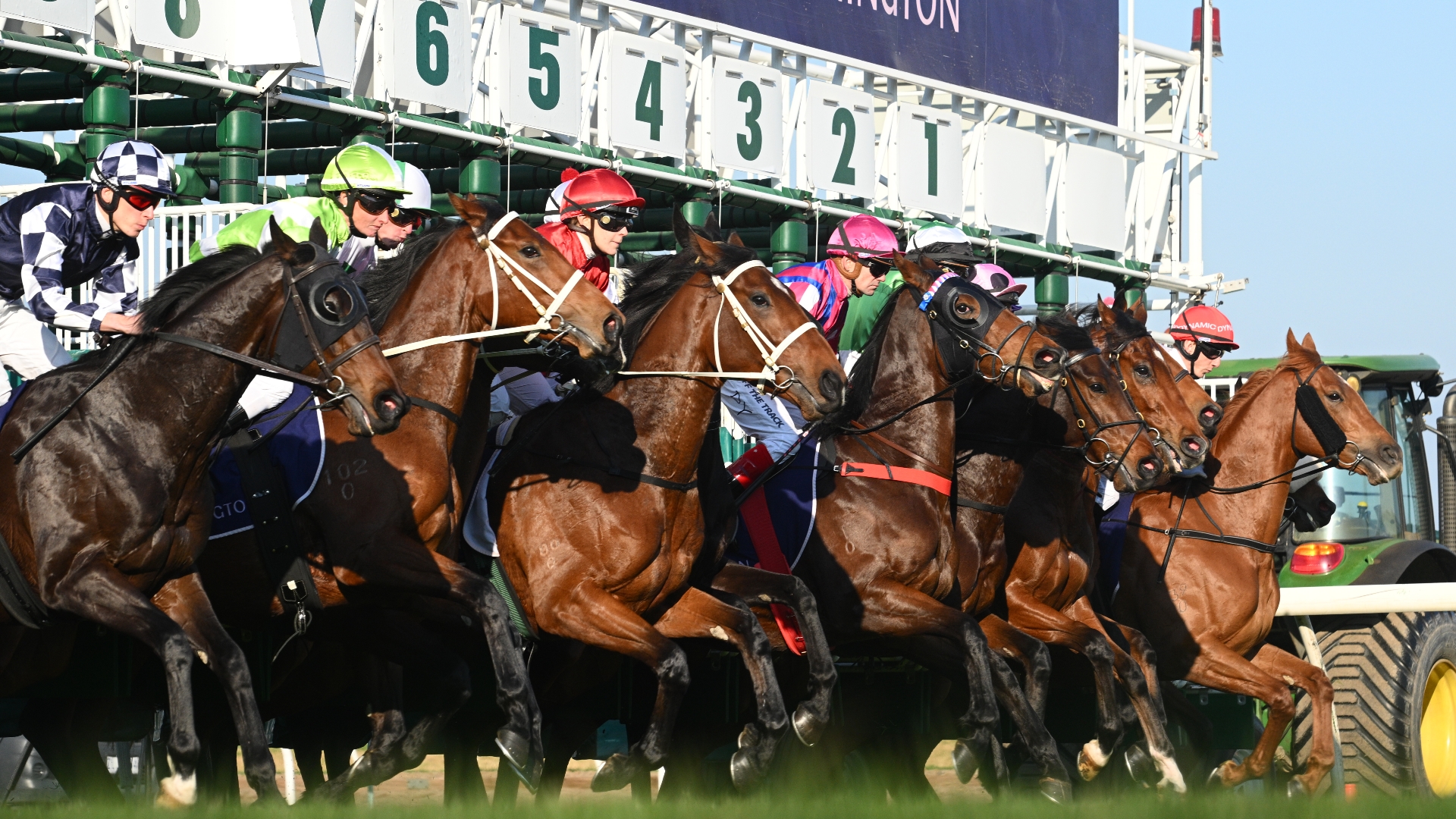 Flemington Horses To Follow from July 6 - Berkshire Breeze to measure ...