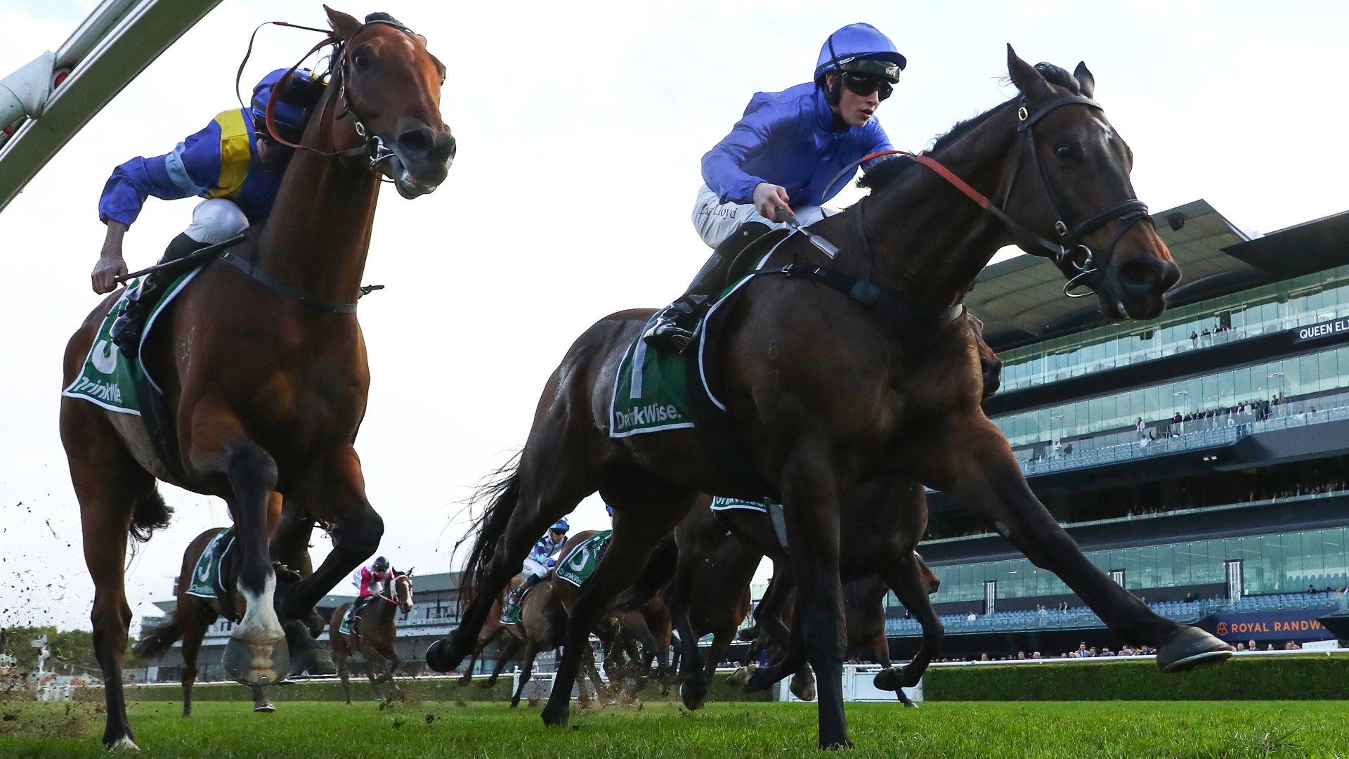 Randwick Blackbookers & Horses To Follow from July 6
