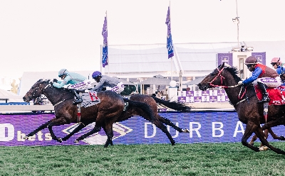 Durban July 2024 Tips, Selections and Betting Previews - Get Free Bets ...