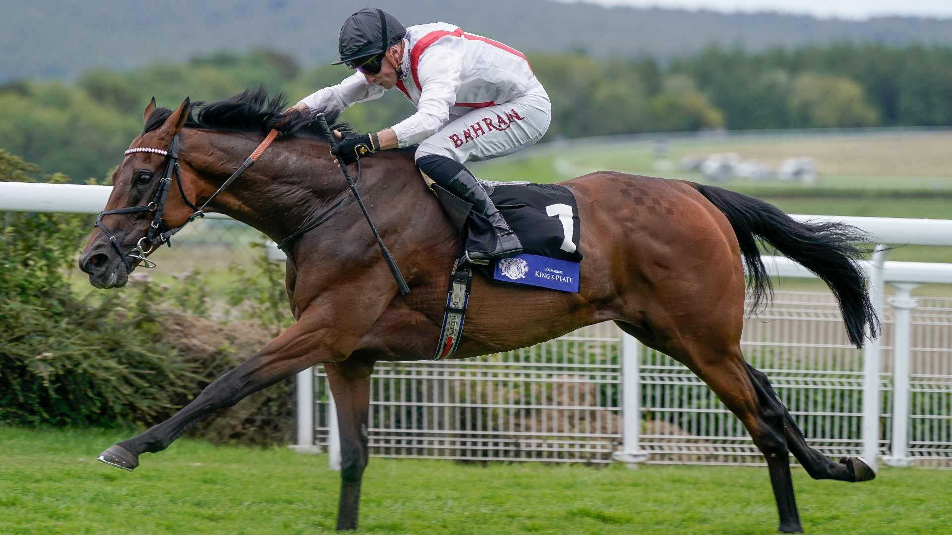 Newspaper Racing Tips on July 11th | Whistlejacket and Hamish the ...