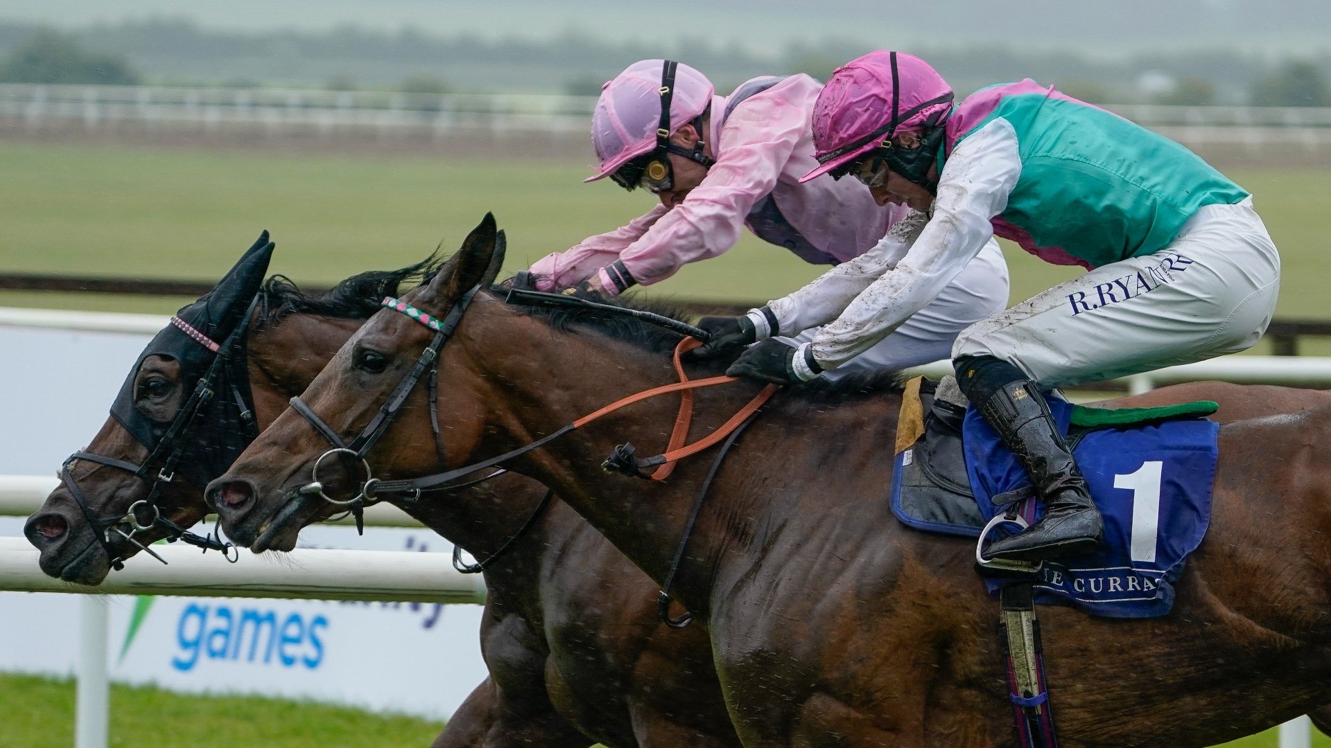 Racing News | Beckett aiming Bluestocking at King George