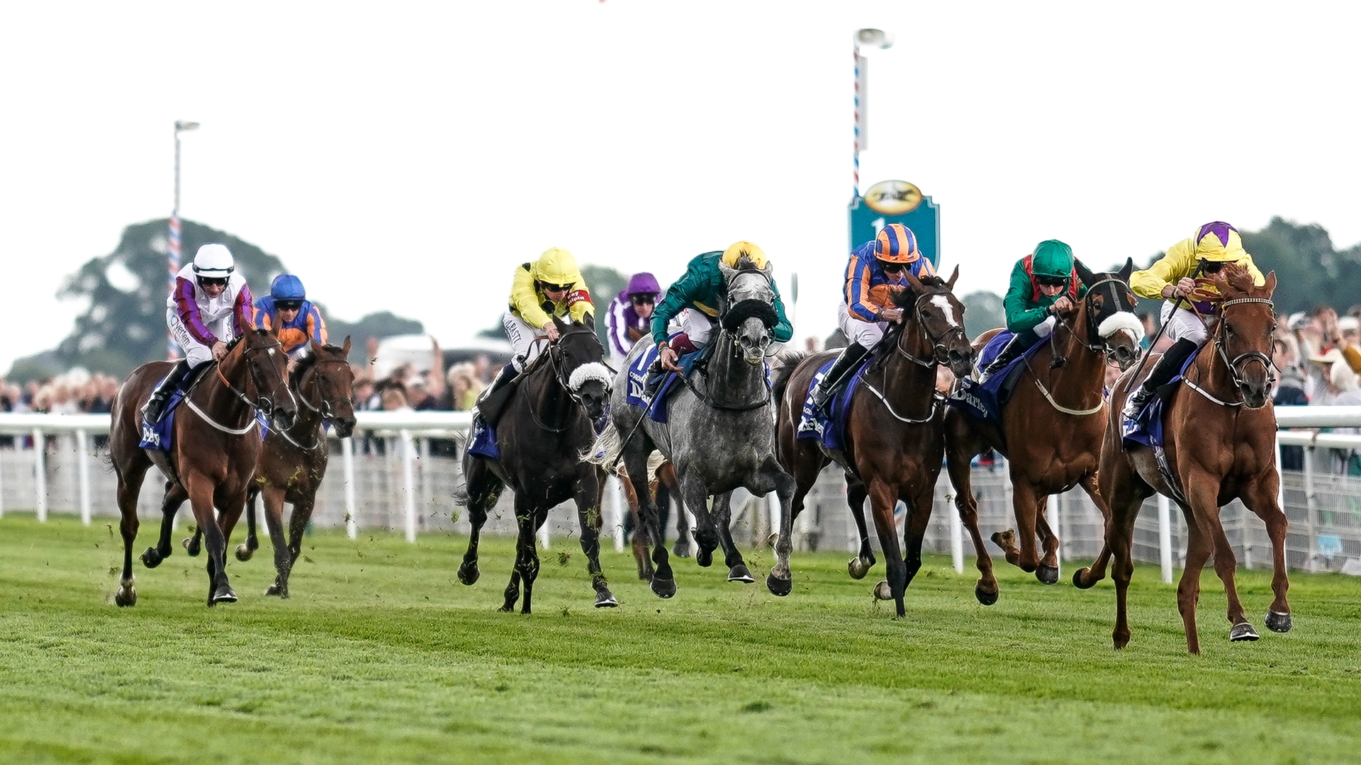 2024 Yorkshire Oaks Tips | Back-to-back wins for Ballydoyle at York