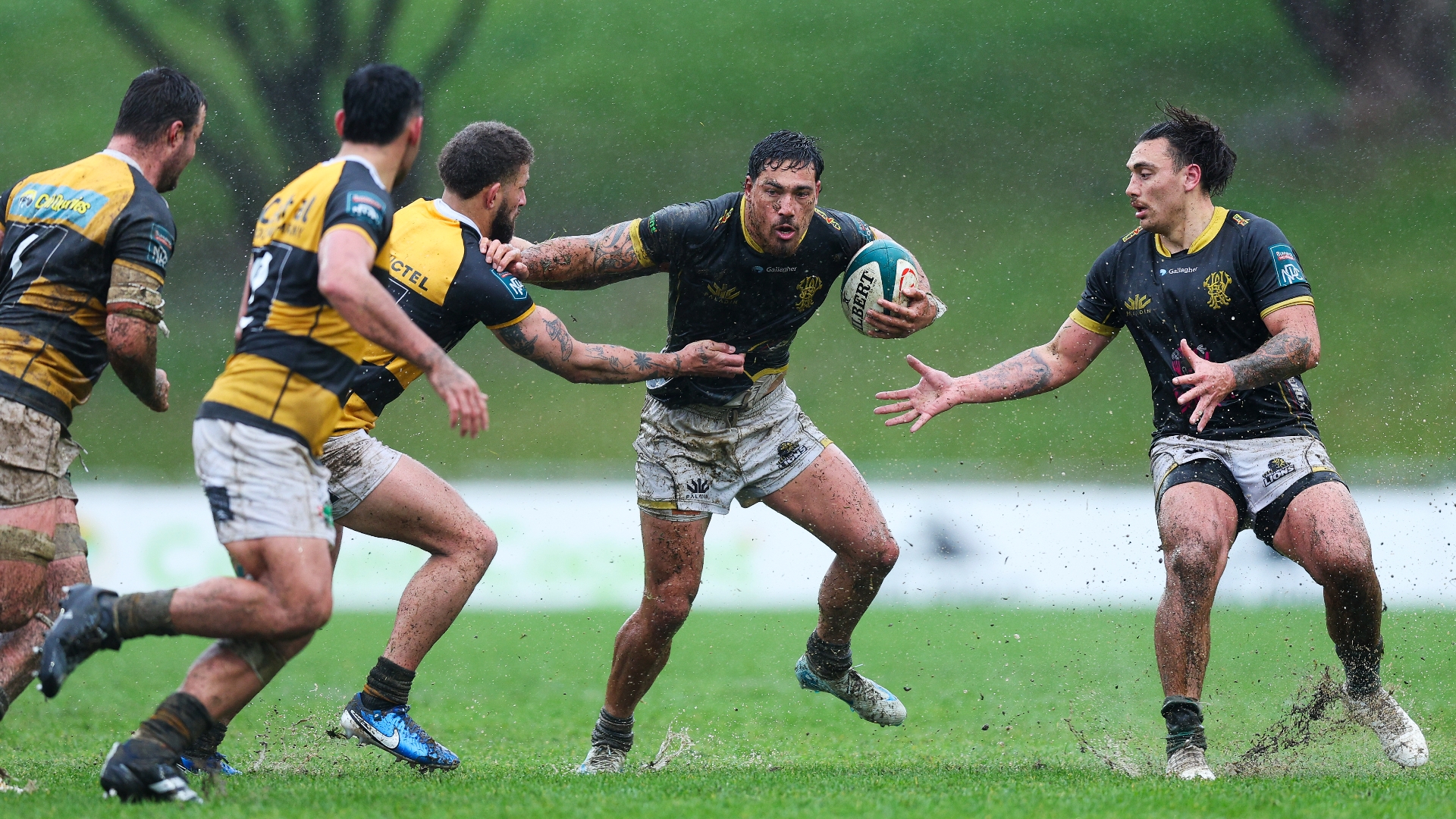 Wellington vs Manawatu Predictions - Big win backed for Wellington in ...