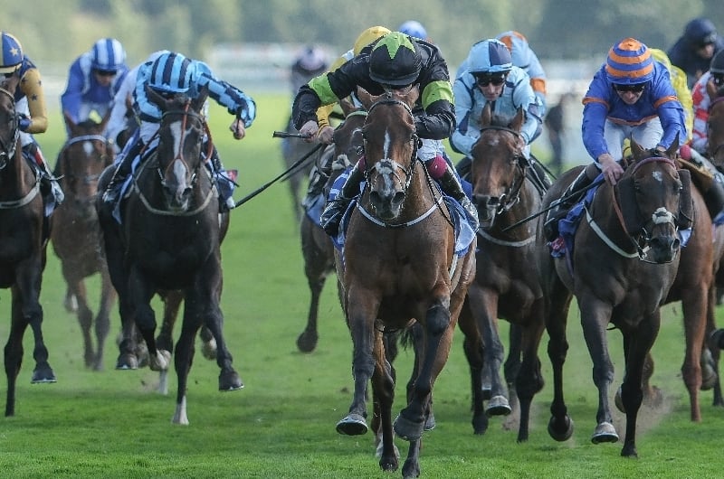 2025 Ebor Festival News | Dates and vital information.