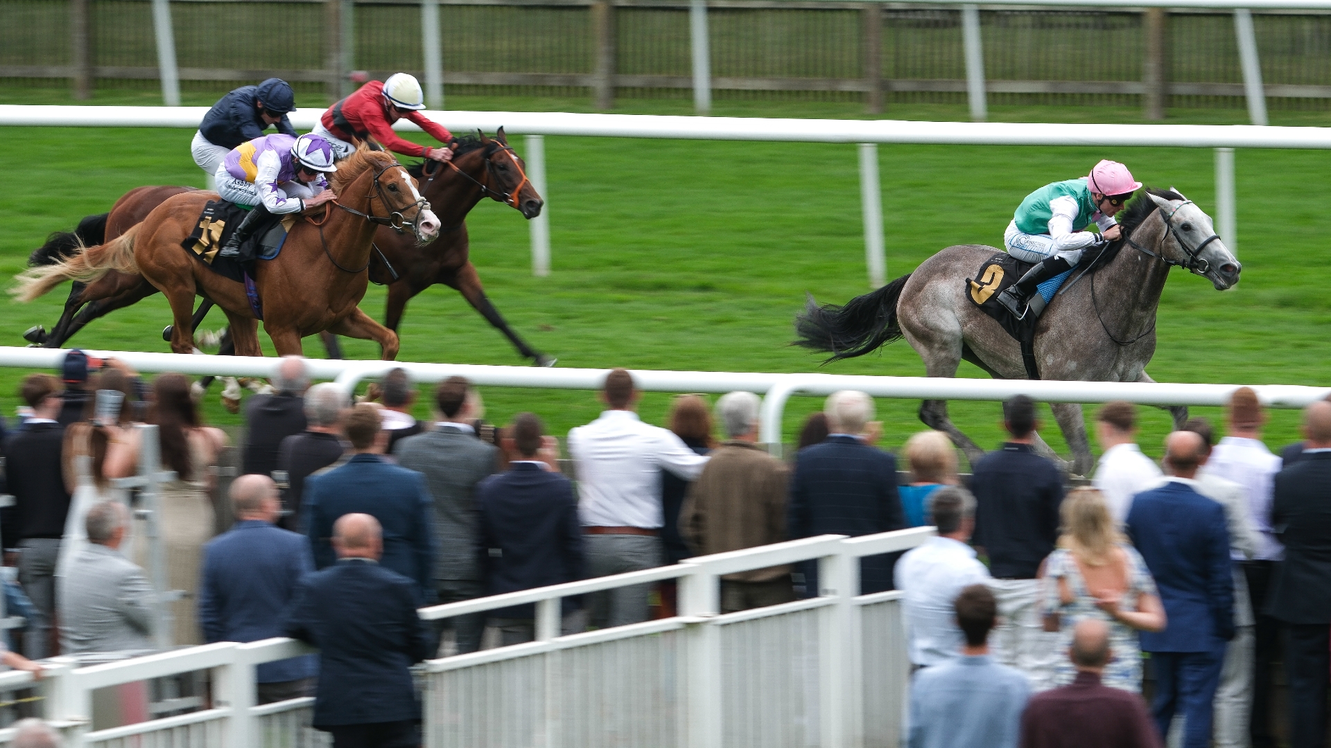 Newspaper Racing Tips on August 31st | Walter Hartright, Tamfana and ...