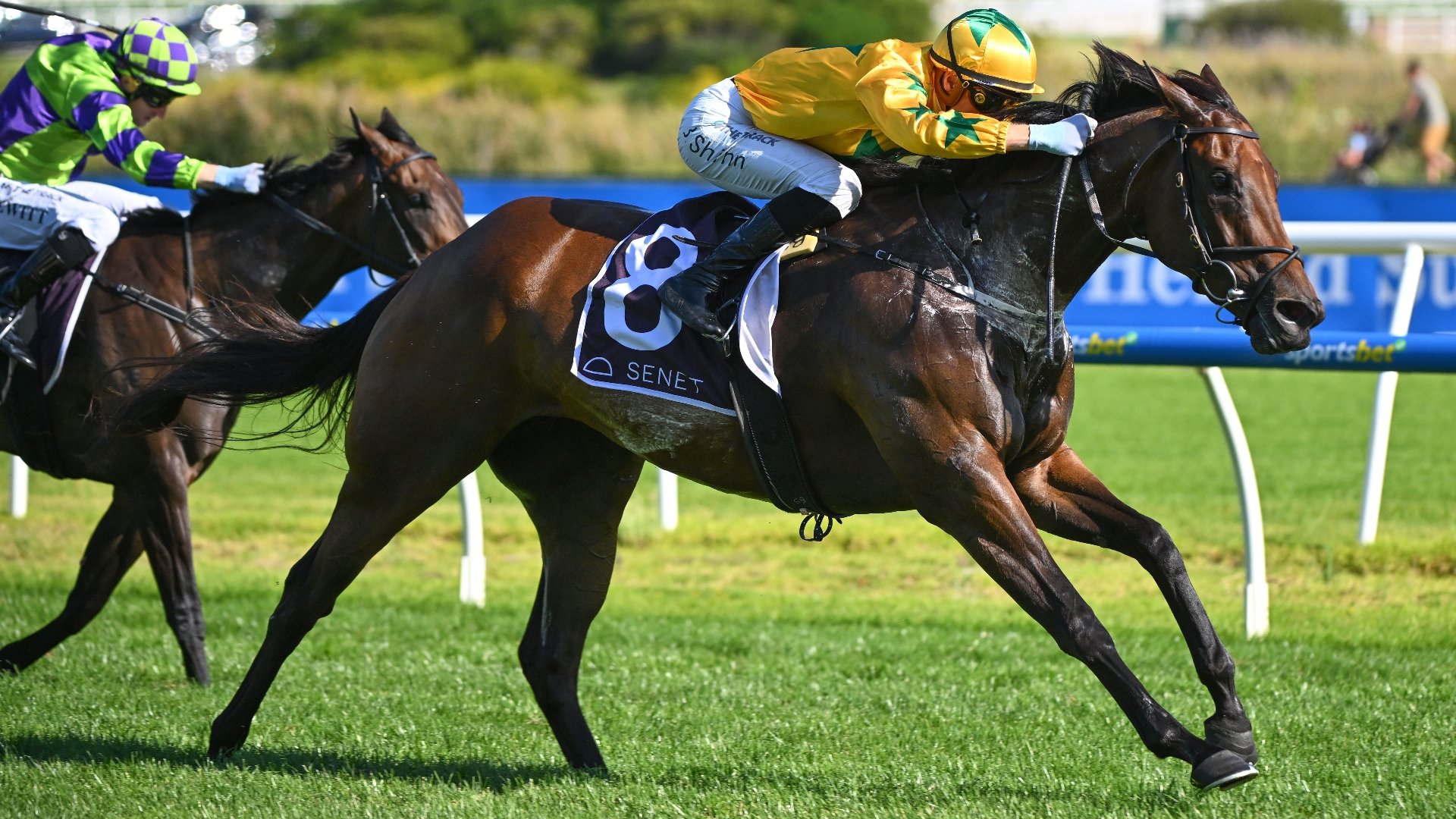 Moir Stakes 2024 Barrier Draw & Final Field