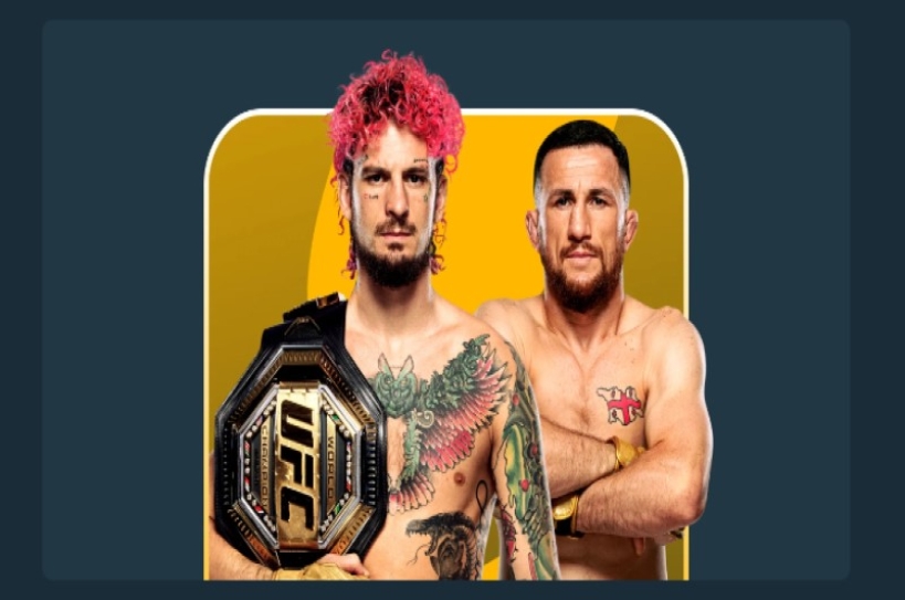 UFC 306: O'Malley vs Dvalishvili Betting at Stake.com