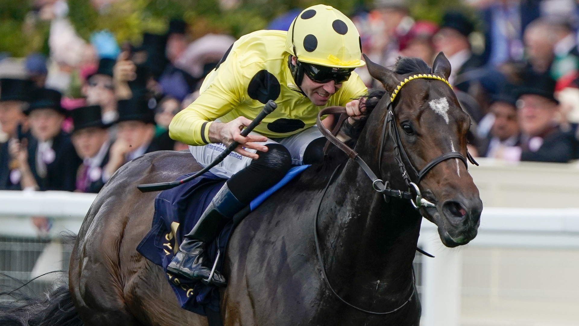 Racing News | Ryan confident Inisherin can bounce back at Haydock