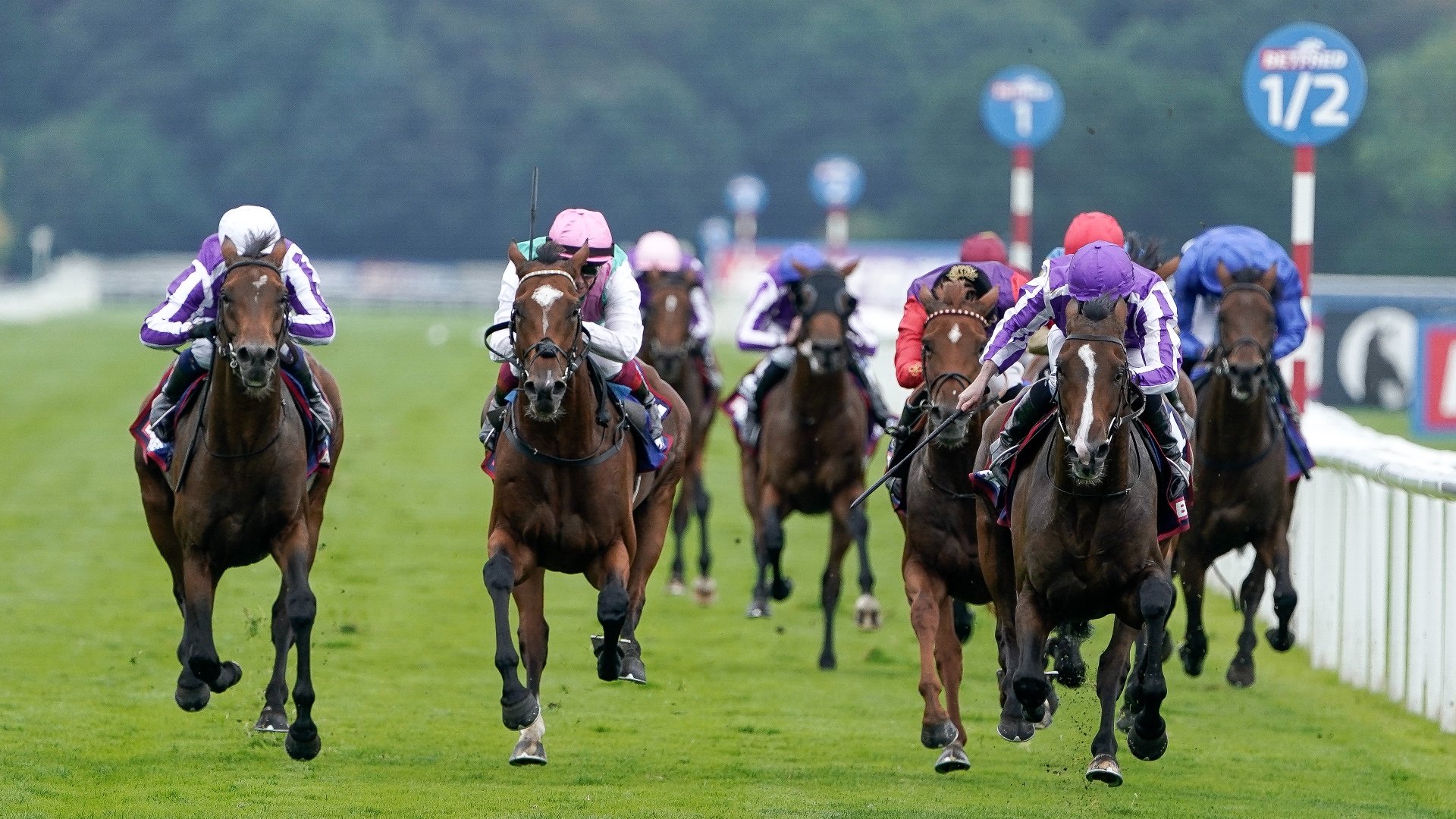 2024 St Leger Confirmed Runners - Eight runners will contest the final ...