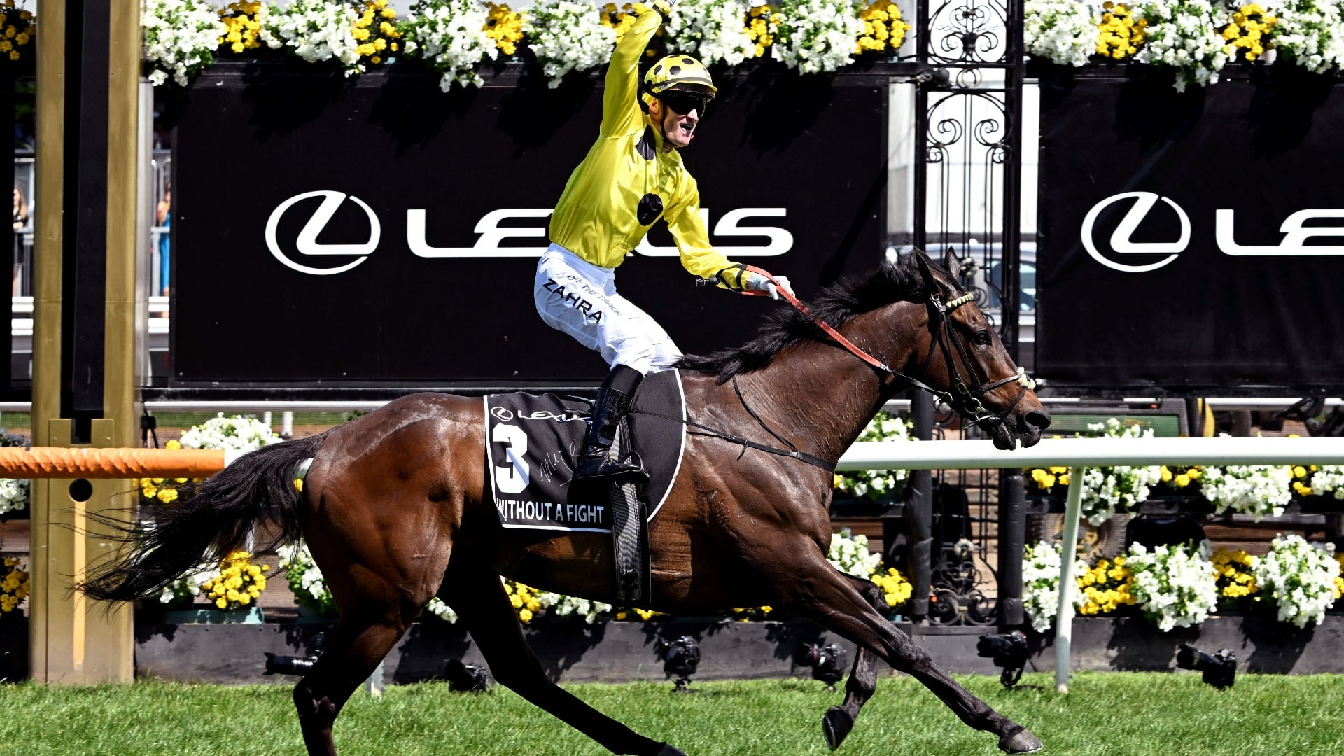 2024 Melbourne Cup Weights - Defending champion Without A Fight tops ...