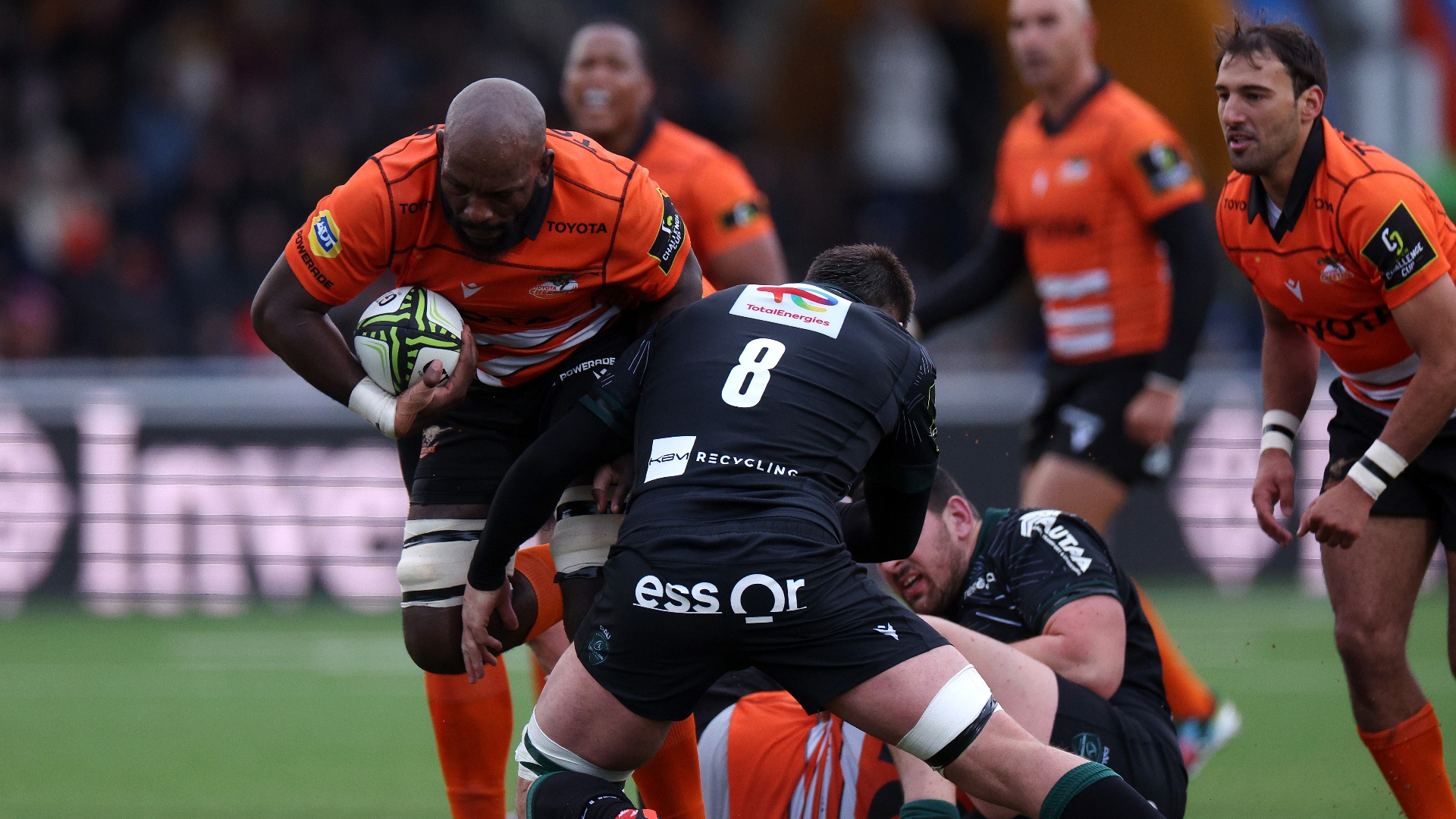 Free State Cheetahs vs Western Force Predictions & Tips - Cheetahs to ...