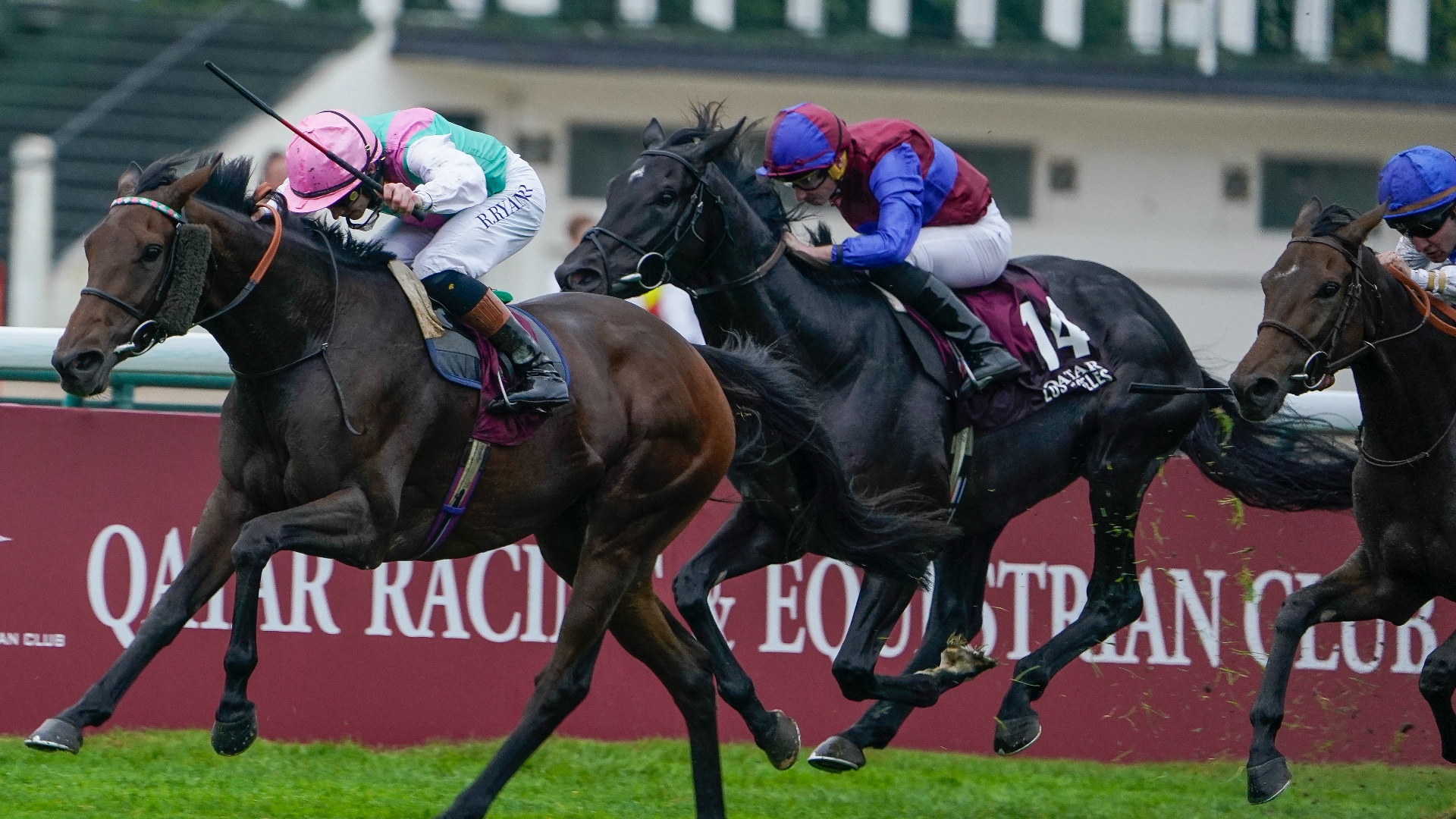 Racing News. Could Arc heroine Bluestocking return in 2025?