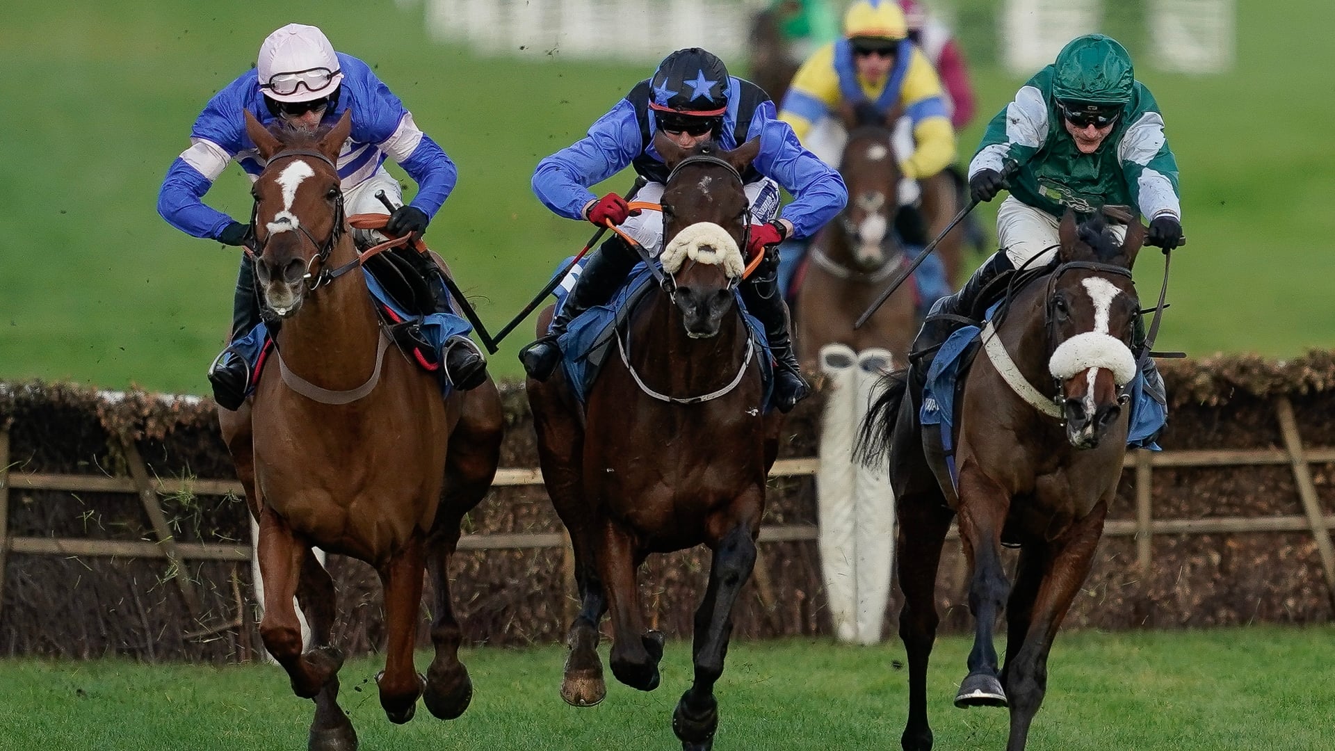 Horses To Follow | 20 jumpers to track in 2024/25 (Part 2)