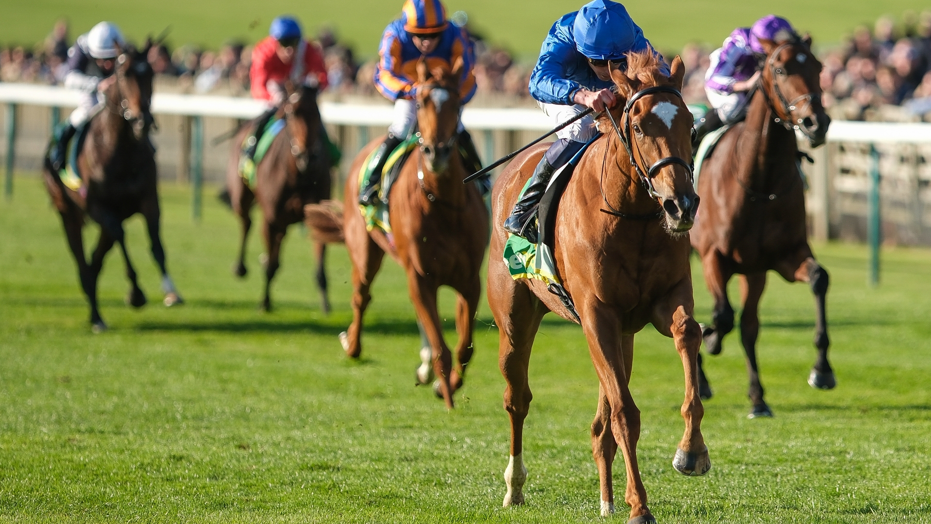 2024 Fillies' Mile Result and Replay - Desert Flower 4/1 for next year ...
