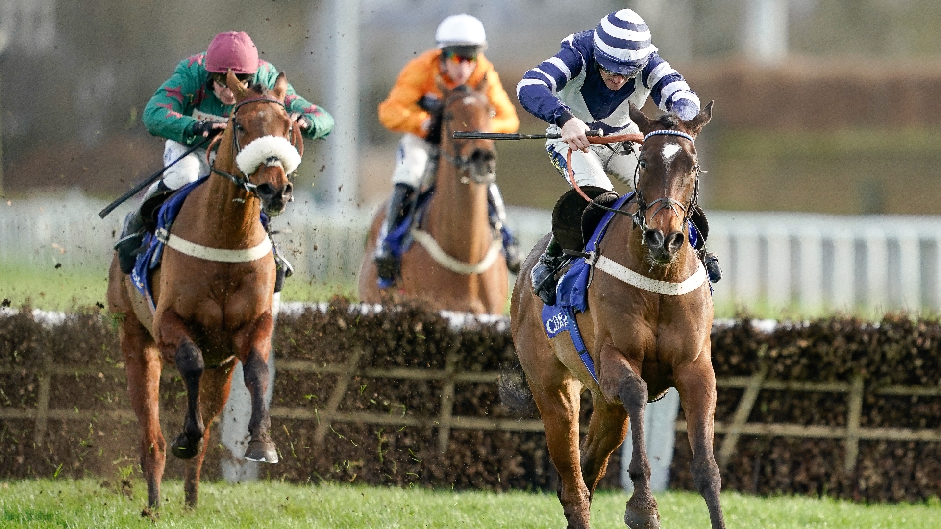 2024 Welsh Champion Hurdle Tips | Thomas and Walters to claim elusive ...