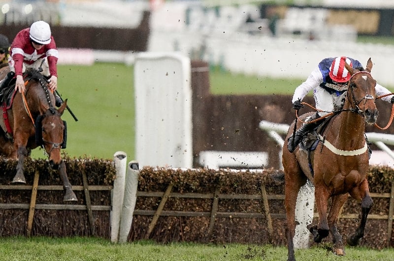 Ben Pauling Stable Tour 2024/25 | Key quotes from the talented trainer