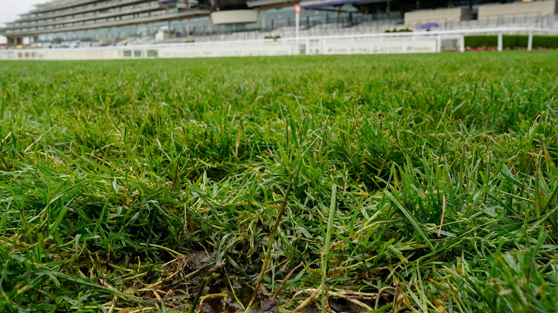 Racing News | Three Champions Day races switched to the Inner Flat ...