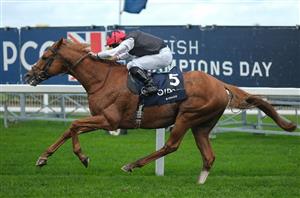 Irish Racing Tips | Free Expert Tips | RacingInsider.com