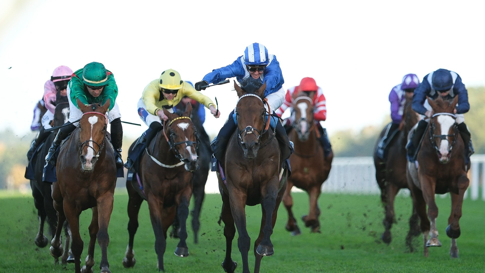 2025 British Champions Day News | Dates and vital information