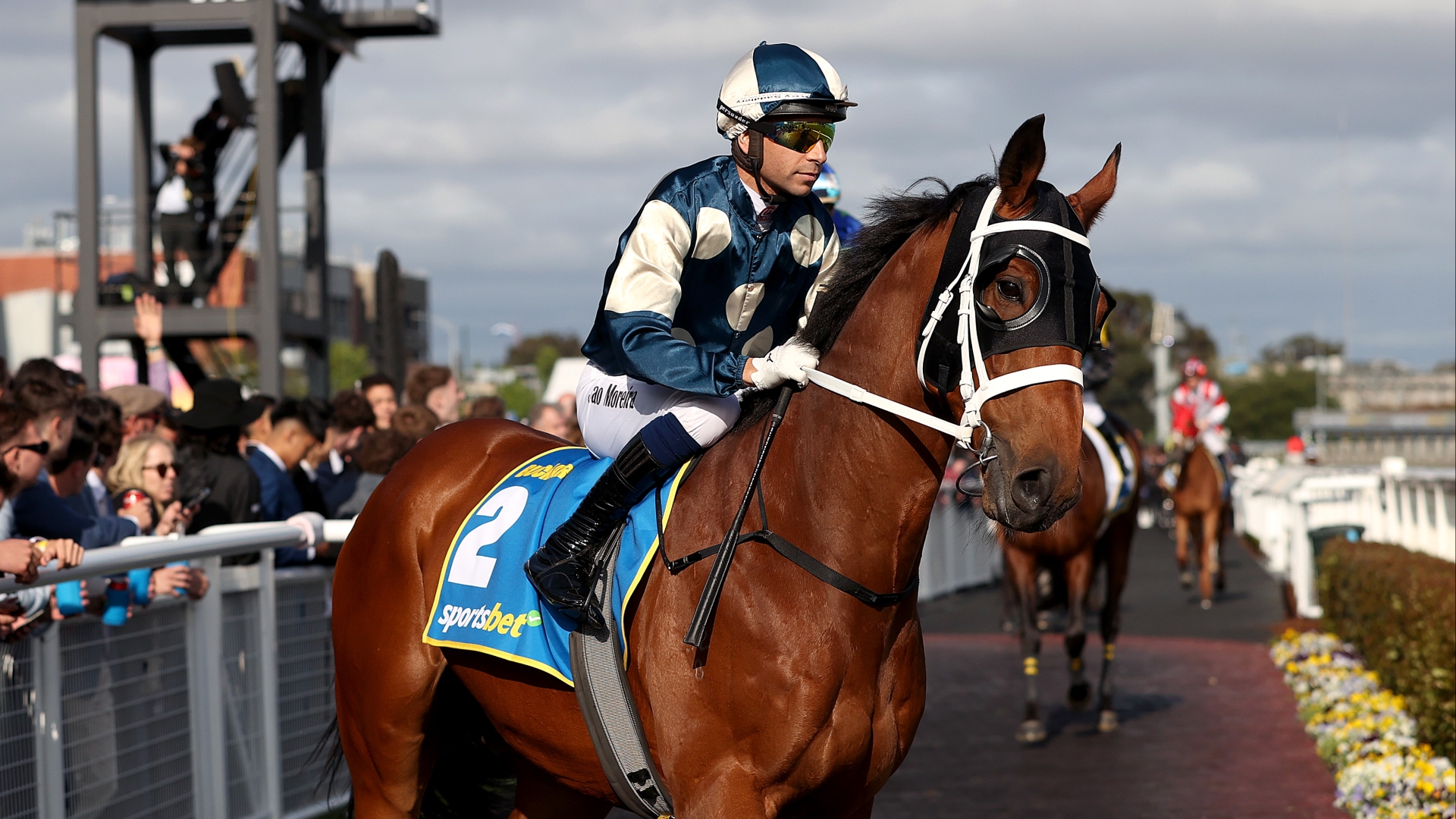 2024 Melbourne Cup Final Field & Barrier Draw - Buckaroo gets a wide ...