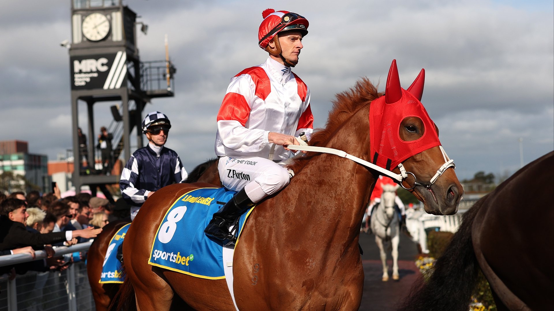 Melbourne Cup Runners | Assessing the chances of all 24 contenders