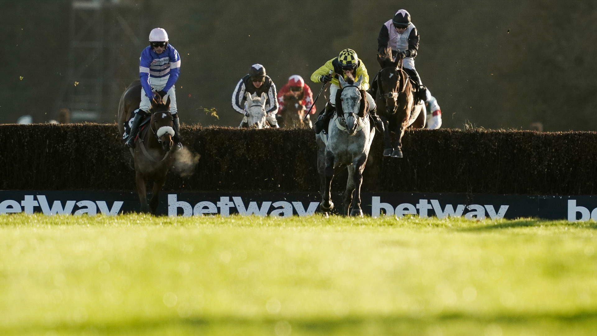 2024 Haldon Gold Cup Odds | JPR One heads Exeter betting
