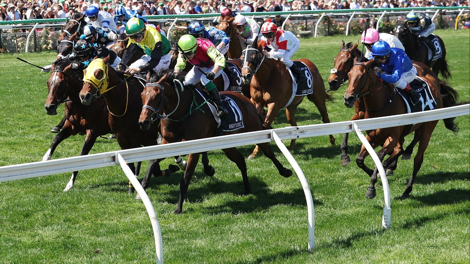 2025 Melbourne Cup Betting Odds - Al Riffa tops Flemington showpiece odds