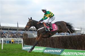 UK Racing Tips | Free Expert Tips | RacingInsider.com