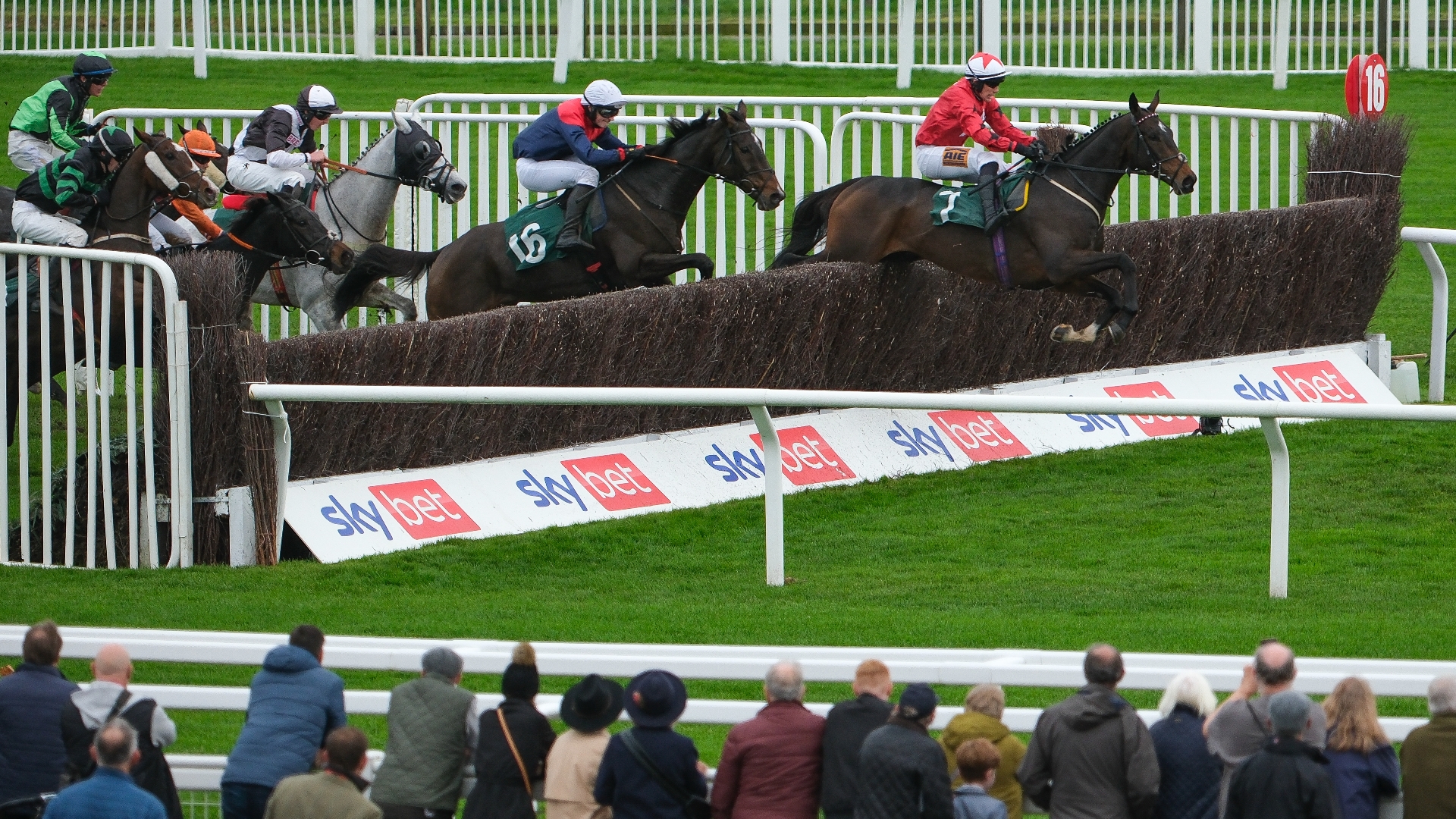 ITV Racing Tips on November 16th | Saturday's selections at Cheltenham