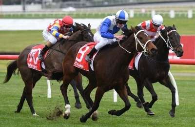Australian Horse Racing Tips and Selections on every major race