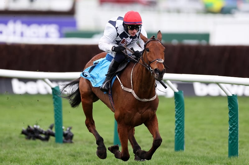 Eye On Cheltenham 2025 | Fact To File clear Gold Cup favourite after ...