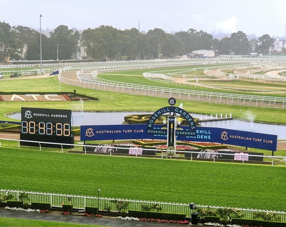 Rosehill Blackbookers and horses to follow from November 30