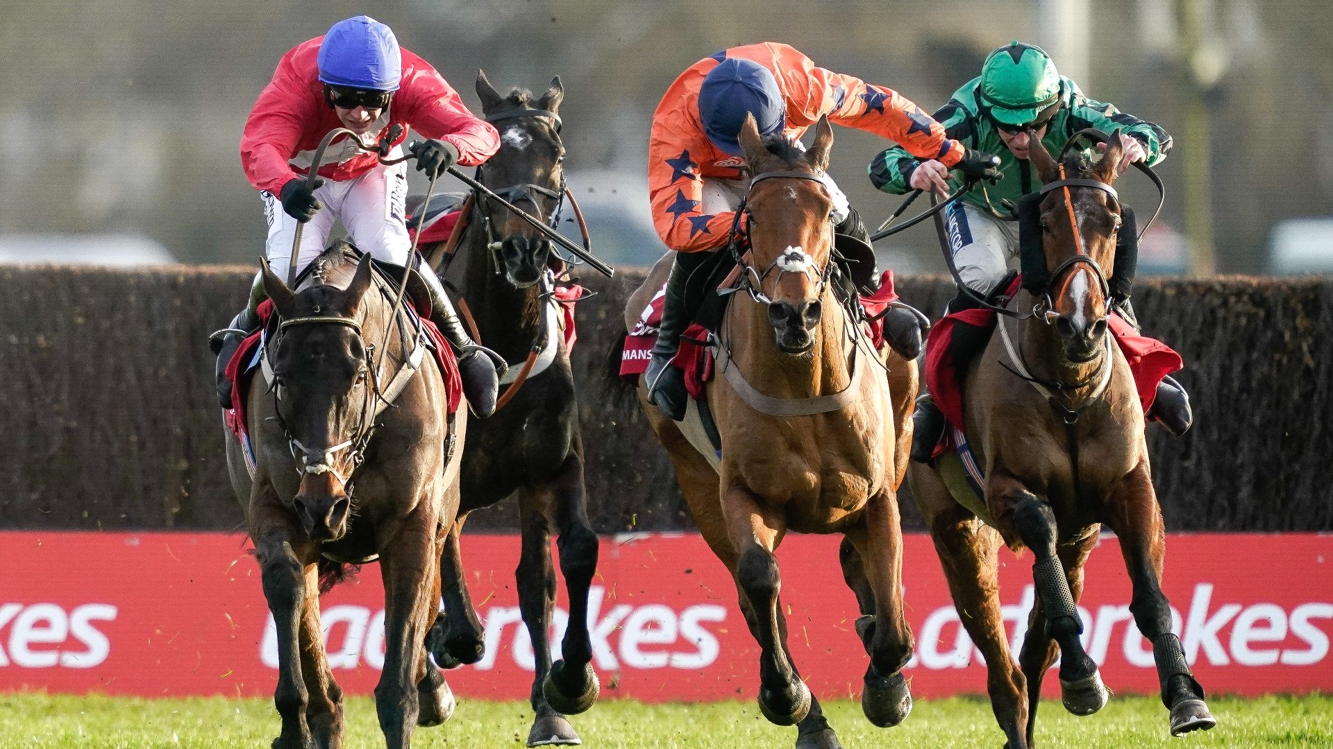 2024 King George VI Chase Odds | Grey Dawning backed into favouritism ...