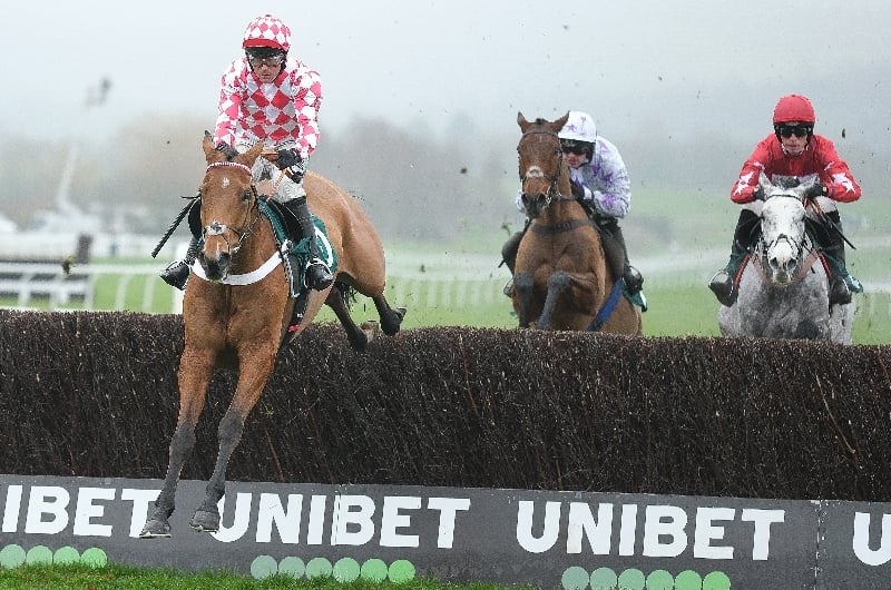 Eye On Cheltenham 2025 | Majborough, Dancing City and Jango Baie ...