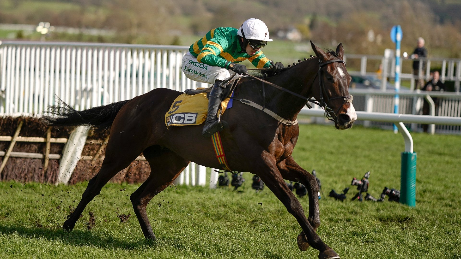 Eye On Cheltenham 2025 | Majborough, Dancing City and Jango Baie ...