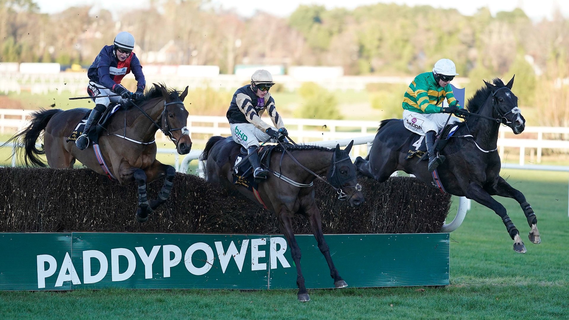 Leopardstown Tips on December 27th | Three selections on Friday