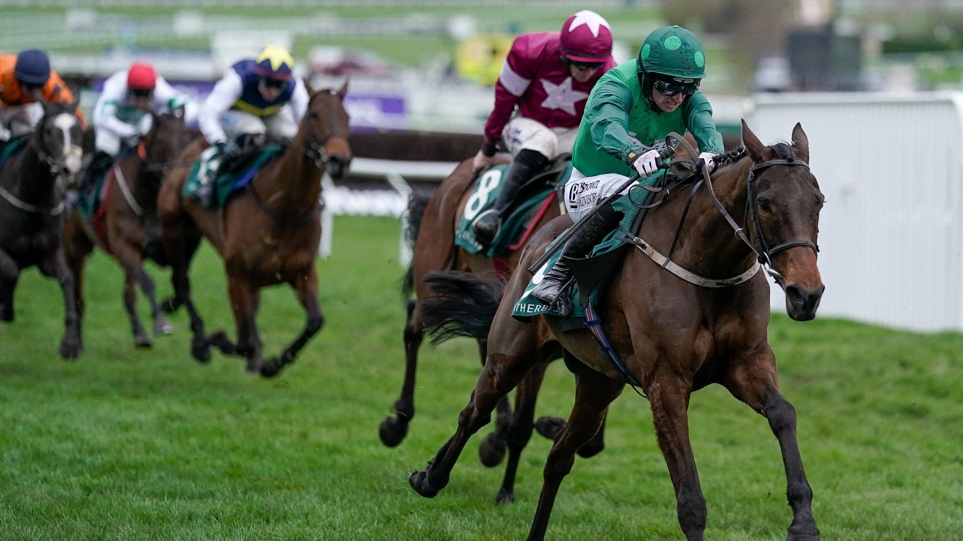 2025 Lawlor's Of Naas Novice Hurdle Odds | Jasmin De Vaux favourite to ...