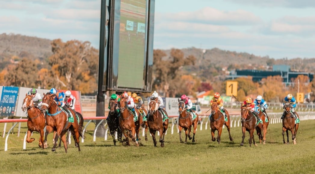 Wagga Racing Tips for January 3 - Bide Your Time looks poised for ...