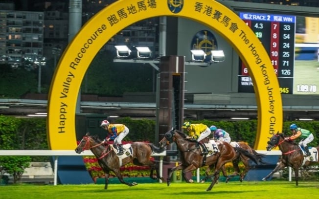 Happy Valley Racing Tips for January 8 - Flamingo Trillion looks set to ...