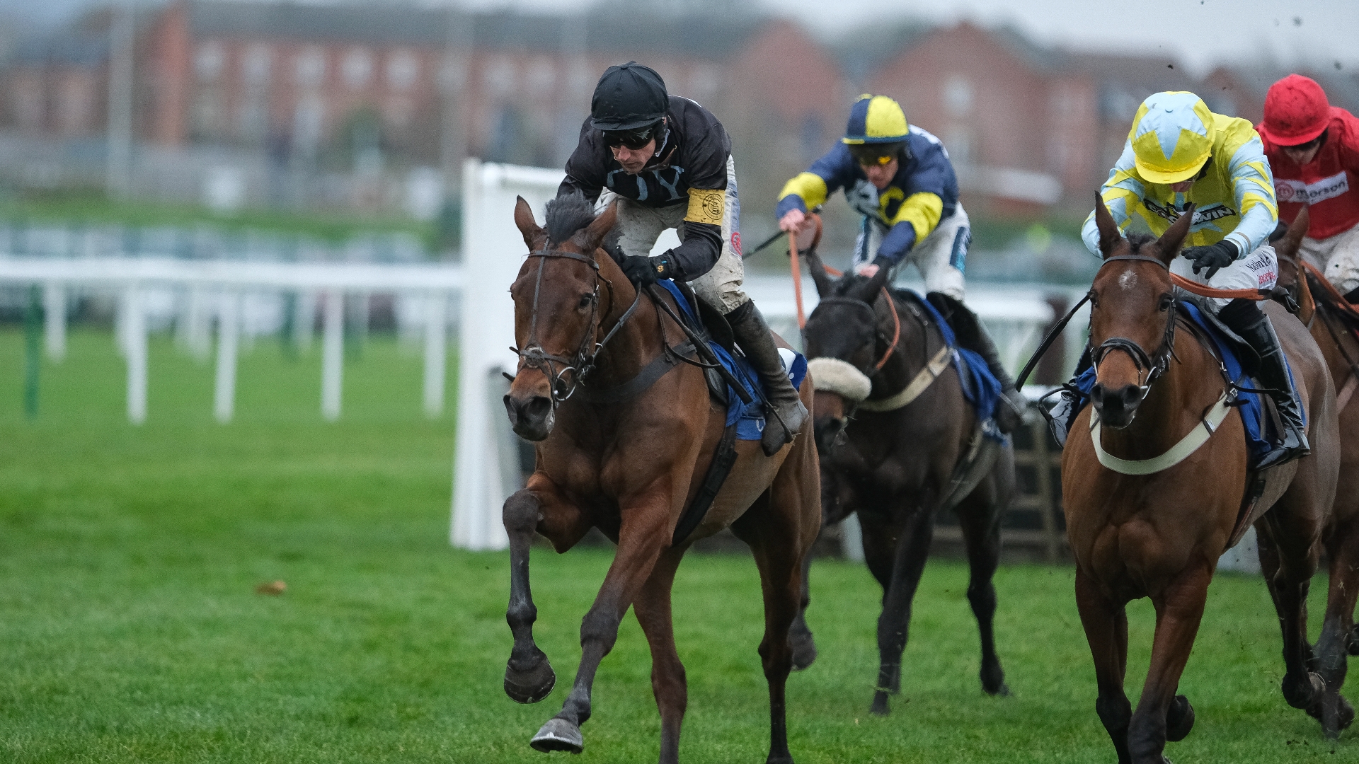 Racing News | The New Lion to stay with the Skelton's after £1m purchase