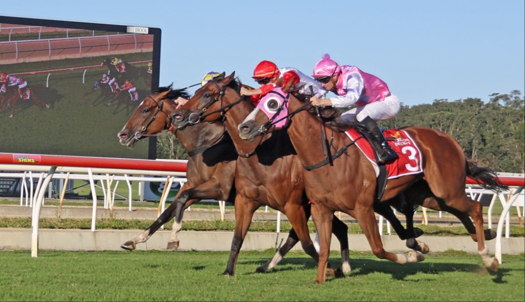 Wyong Racing Tips for January 11 - Unstopabull to win race 9 with a ...