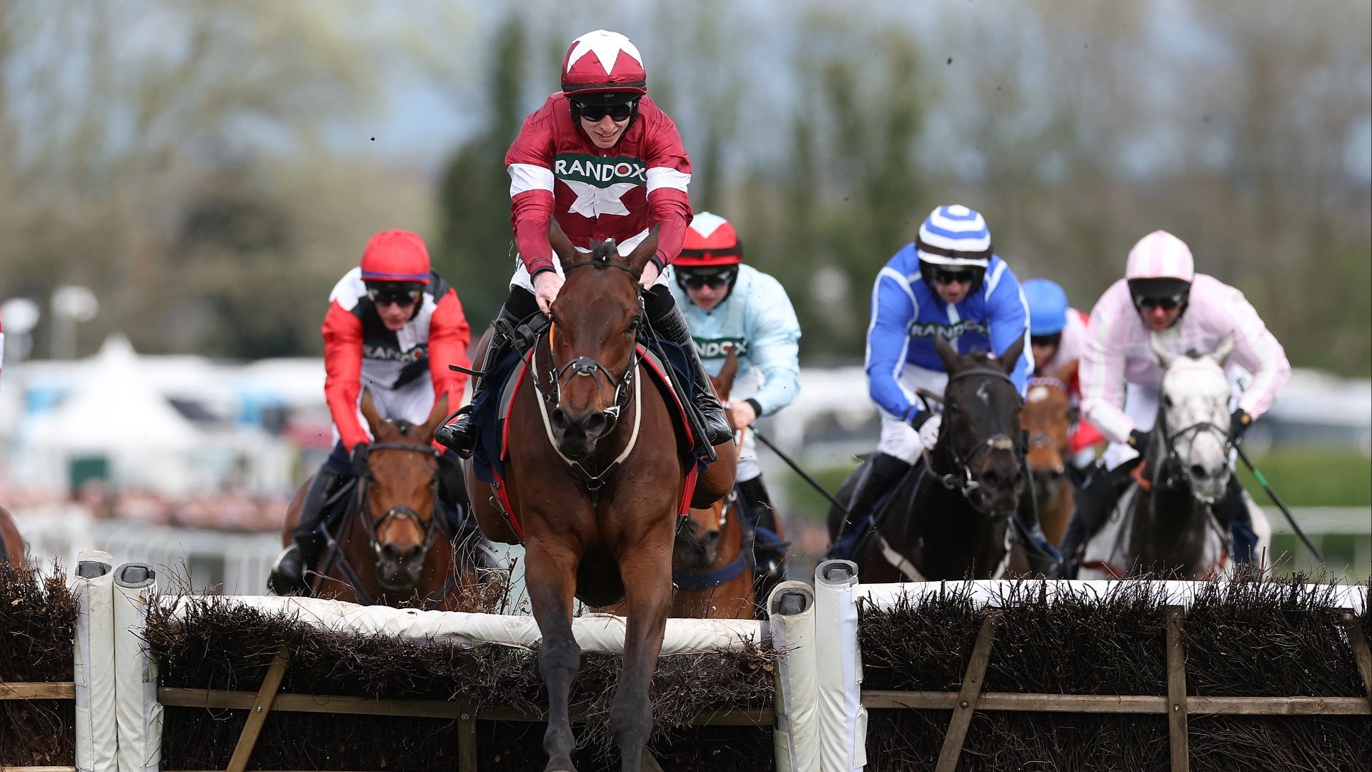 2025 Irish Champion Hurdle Odds | Lossiemouth and Brighterdaysahead to ...