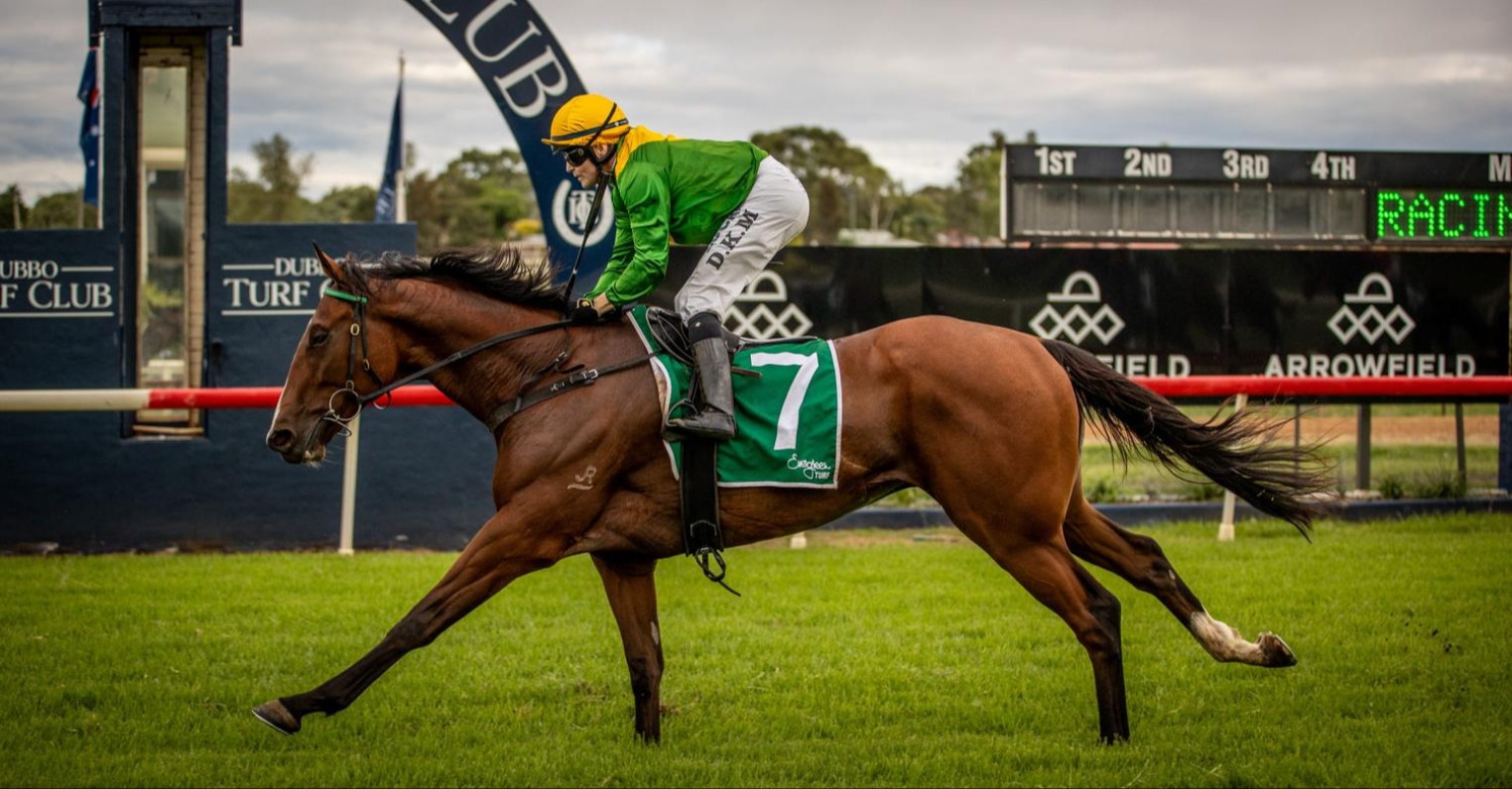 Dubbo Racing Tips for January 14 - Speck to prove too good at the ...