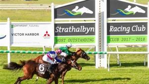 Strathalbyn Racing Tips for January 15 - Sea Roads is second-up and ...