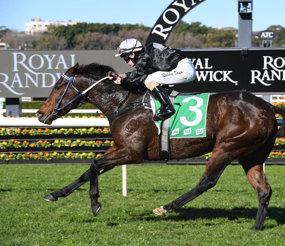 Randwick Racing Tips for January 15 - Manaajem looks set for back-to ...