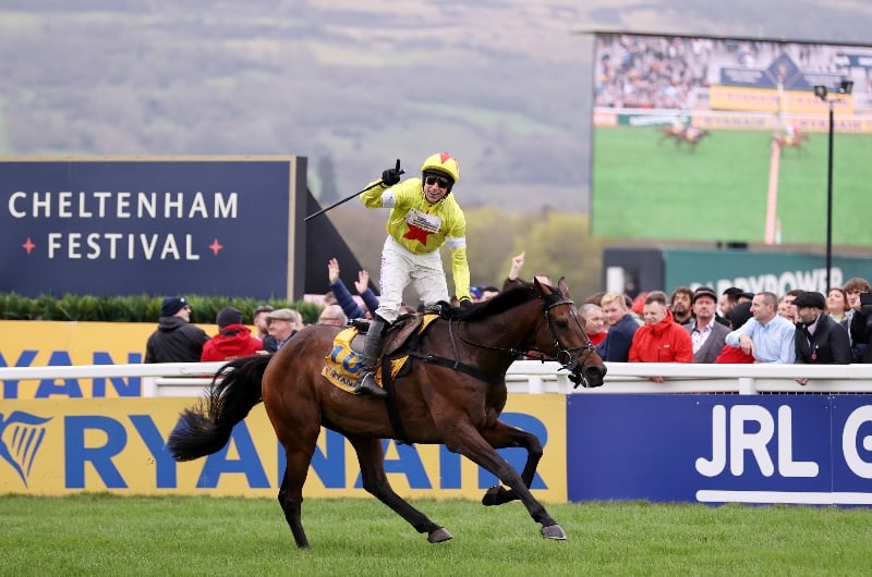 Cheltenham 2025 Stable Tour | Dan Skelton's Festival Runners